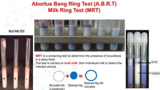 Isolation of some pathogens from milk | PPTX