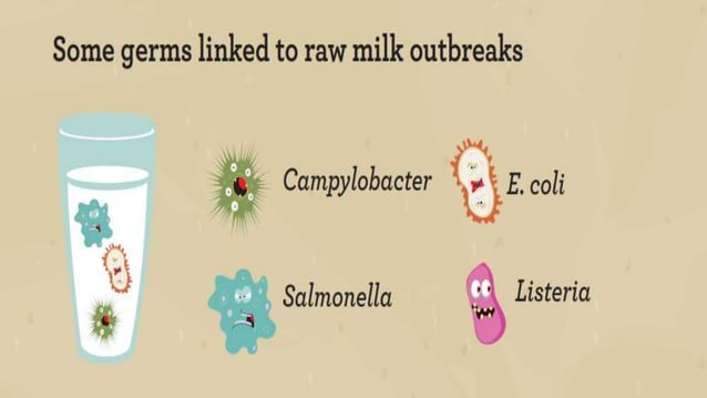 Isolation of some pathogens from milk | PPT