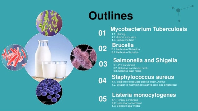 Isolation of some pathogens from milk