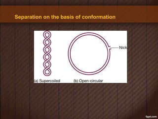 Isolation & Purification of DNA | PPTX