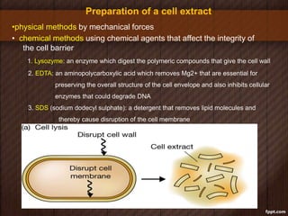 Isolation & Purification of DNA | PPTX