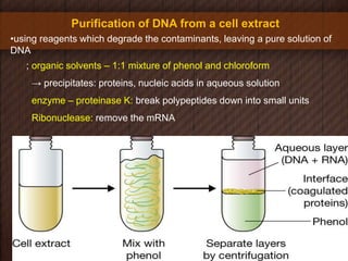 Isolation & Purification of DNA | PPTX