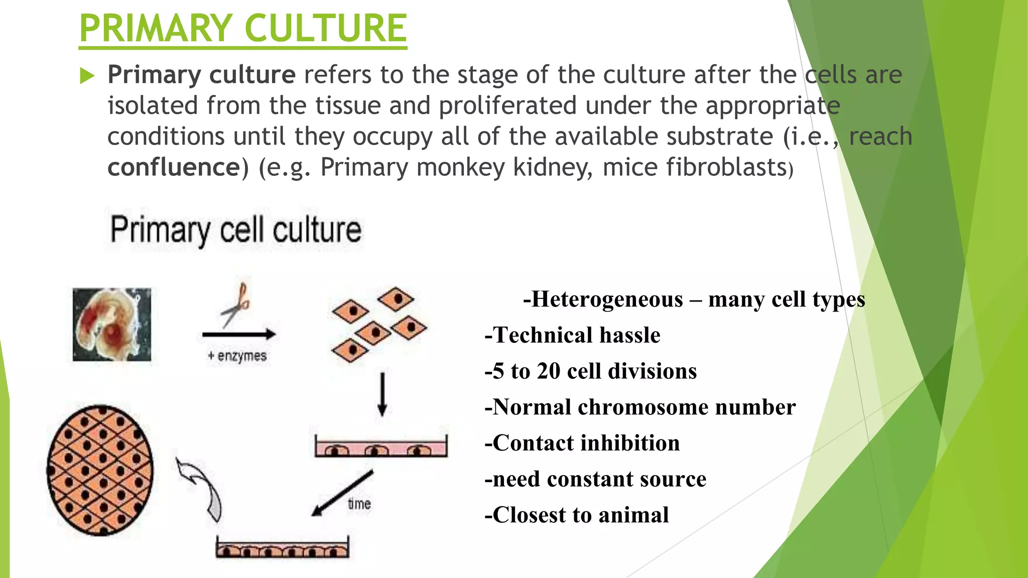 Isolation of viruses and Viral quantification | PPTX