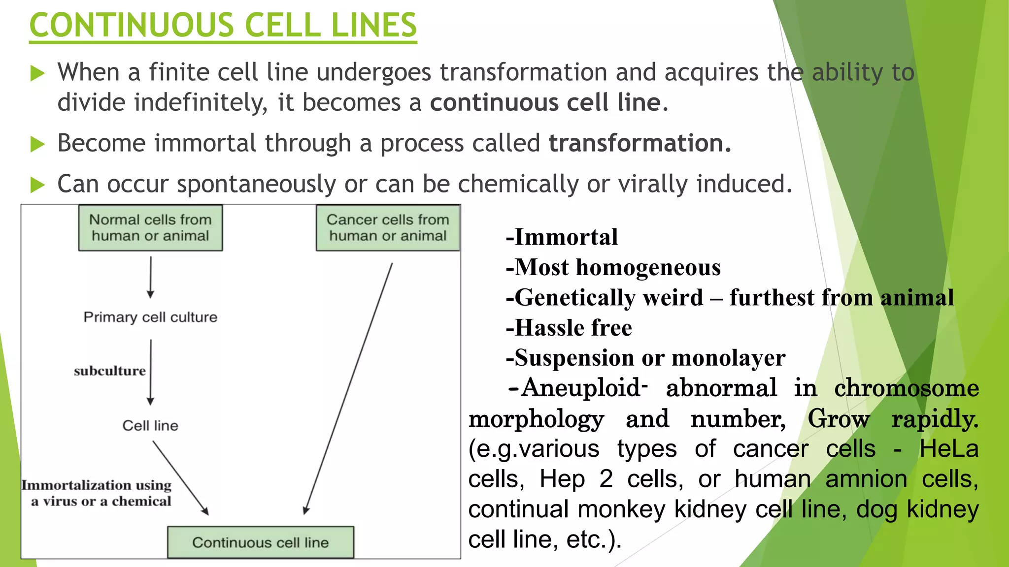 Isolation of viruses and Viral quantification | PPTX