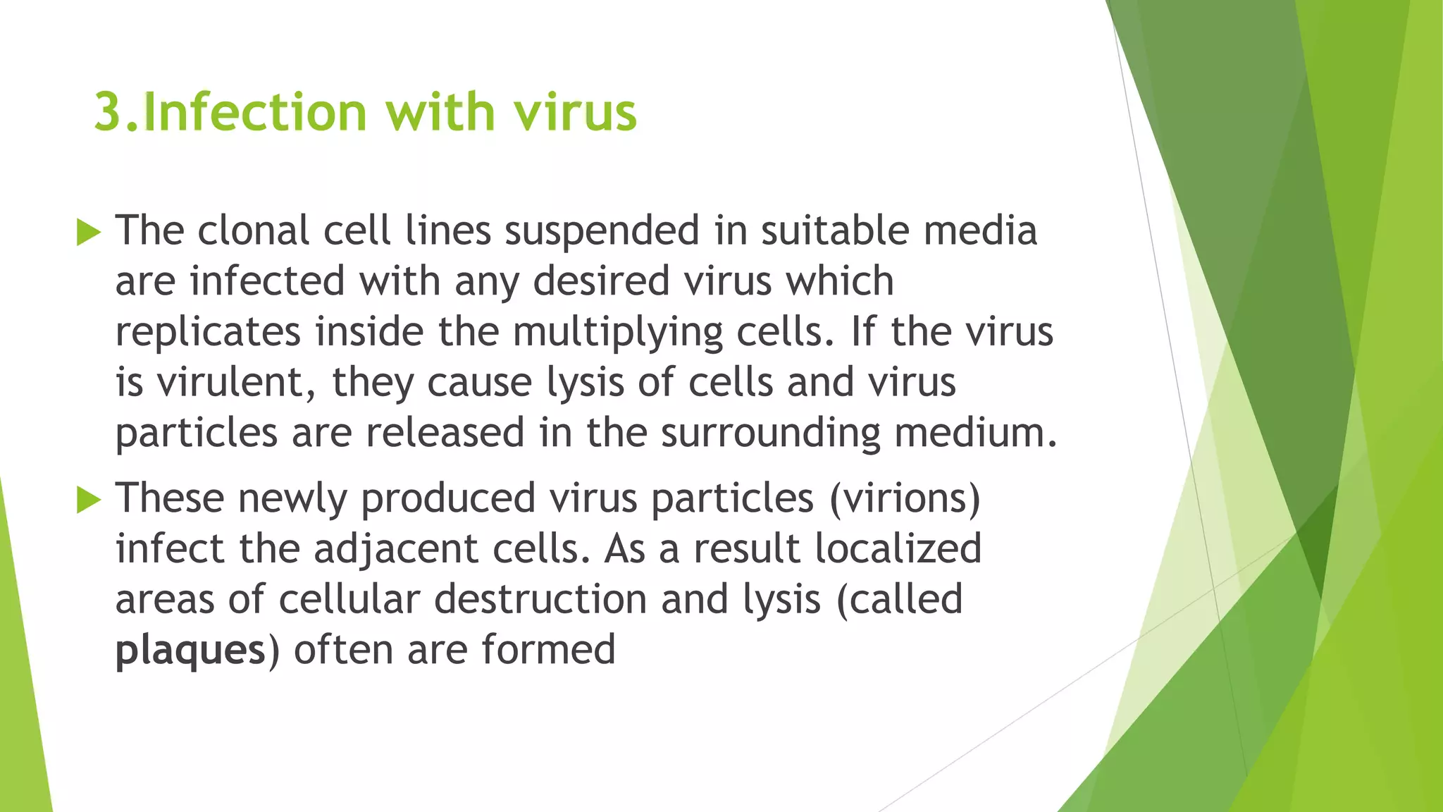 Isolation of viruses and Viral quantification | PPTX