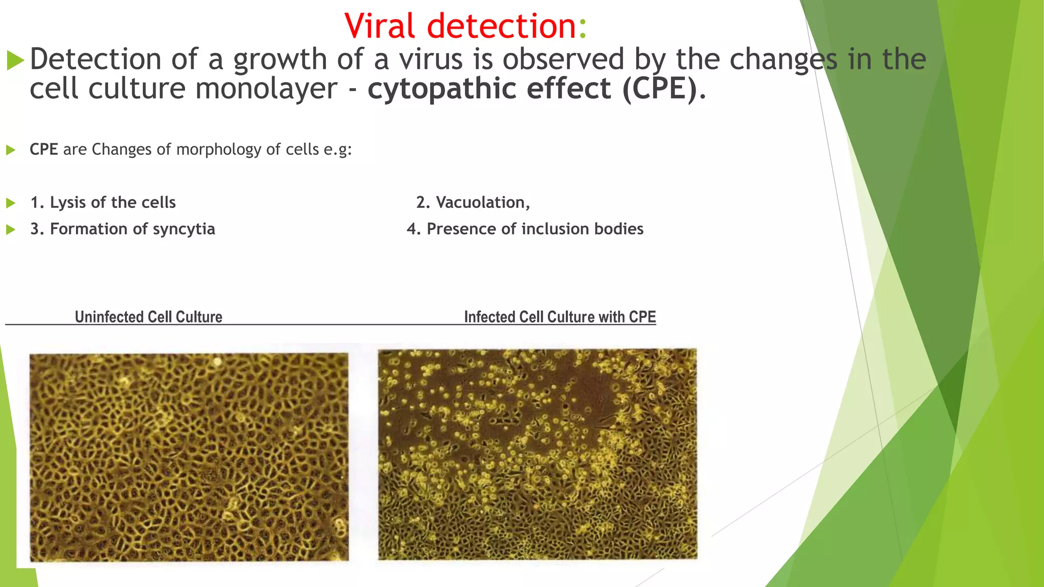 Isolation of viruses and Viral quantification | PPTX