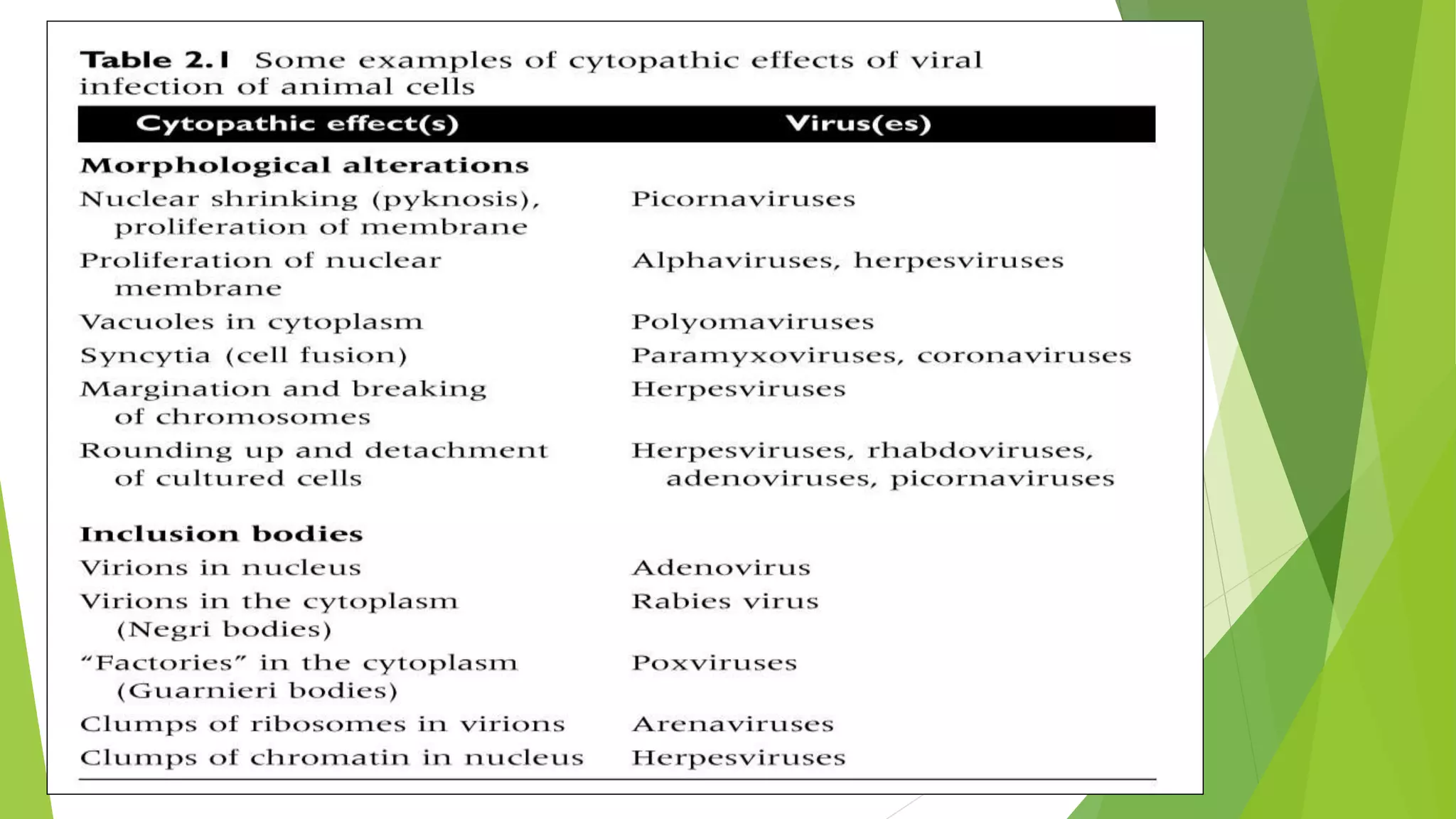 Isolation of viruses and Viral quantification | PPTX