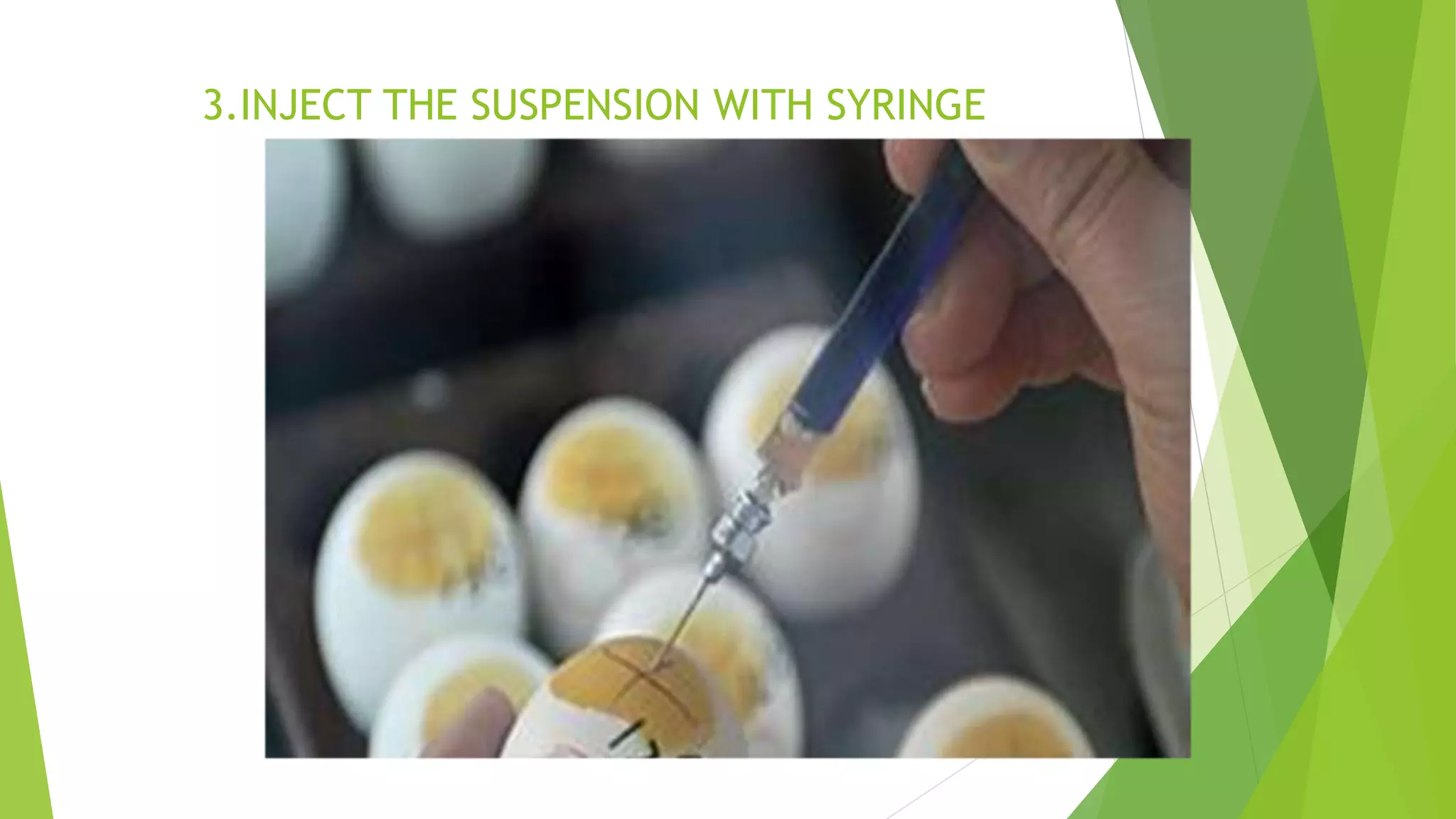 Isolation of viruses and Viral quantification | PPTX