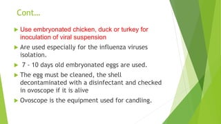 Isolation of viruses and Viral quantification | PPTX
