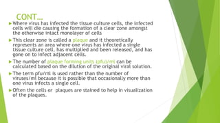 Isolation of viruses and Viral quantification | PPTX