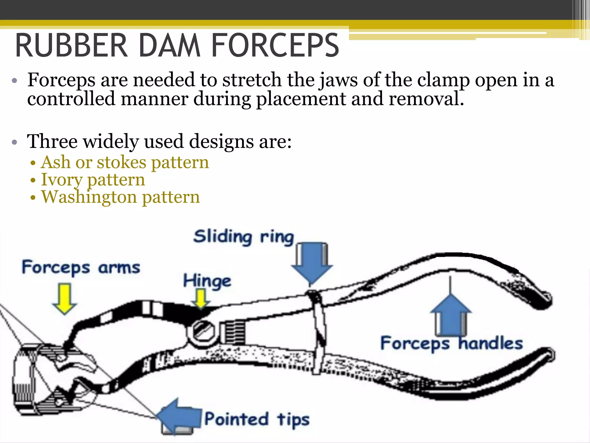 Isolation: The Rubber Dam | PPTX