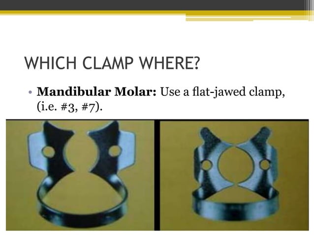 Isolation: The Rubber Dam | PPTX | Oral care | Personal Care