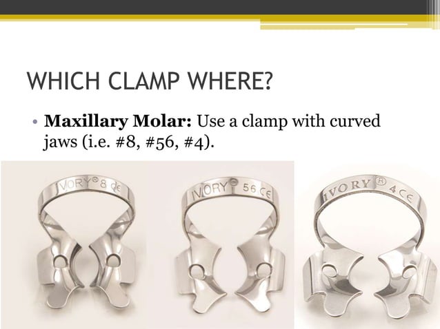 Isolation: The Rubber Dam | PPTX | Oral care | Personal Care