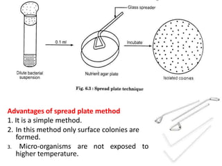 Isolation & preservation of culture of microorganism | PPTX