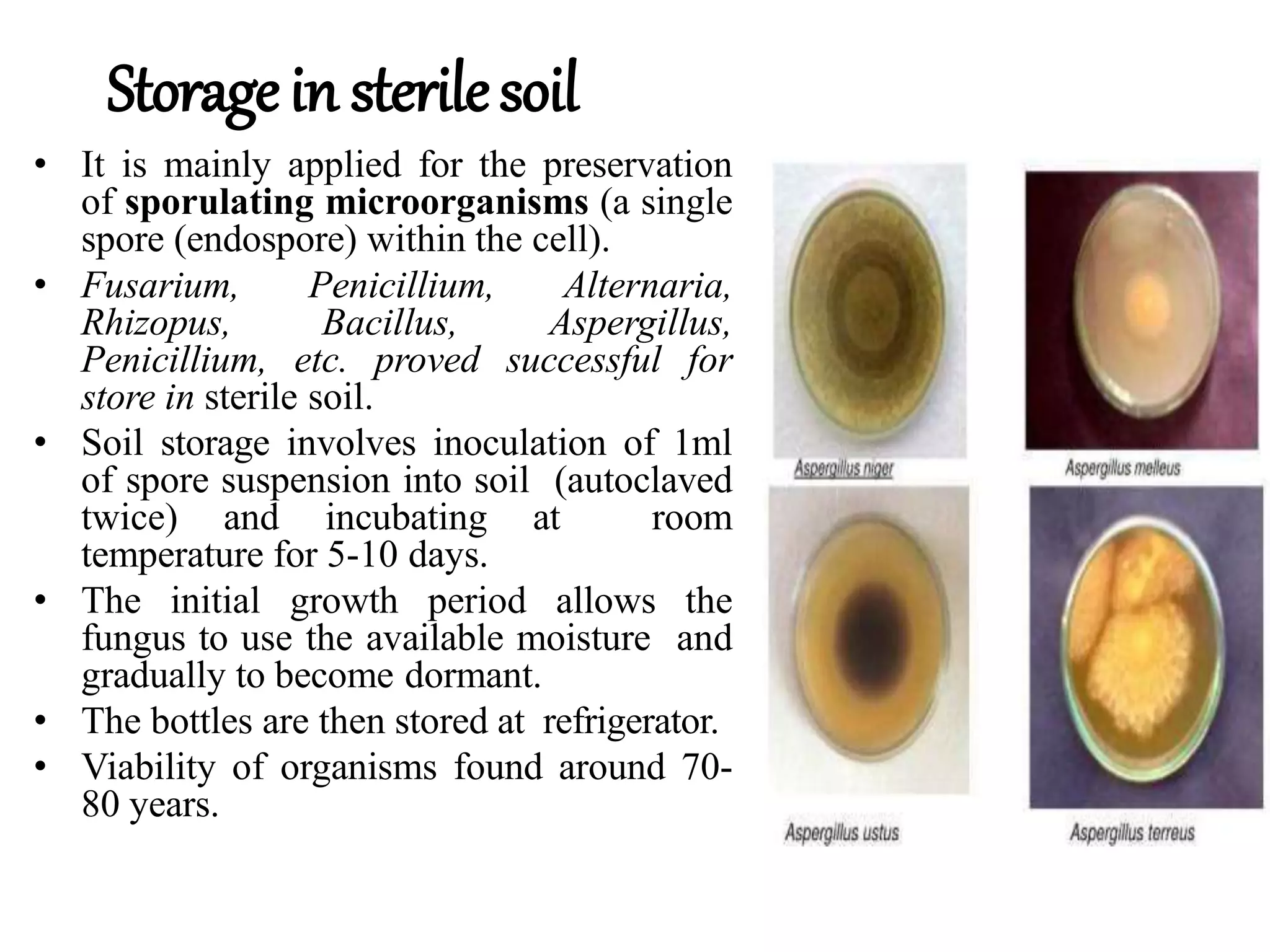 Isolation and preservation of microorganism | PPTX