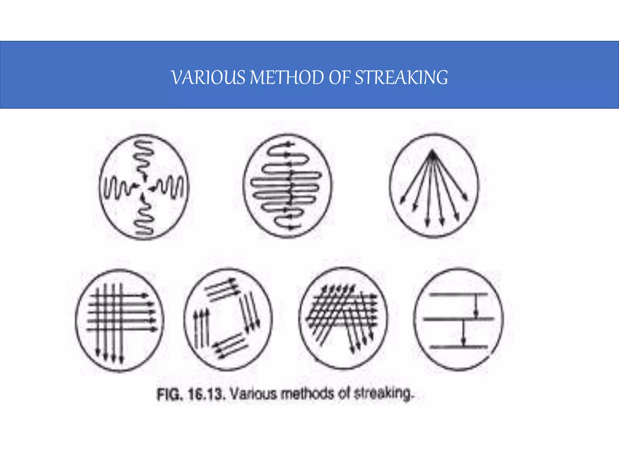 Isolation and preservation of microorganism | PPTX