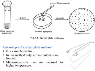 Isolation and preservation of microorganism | PPTX