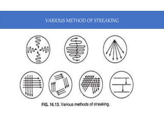 Isolation and preservation of microorganism | PPTX