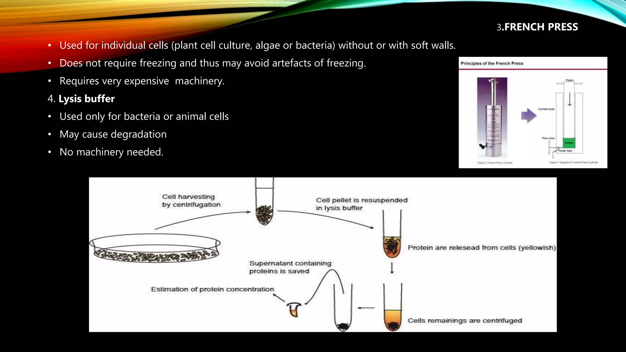 Isolation, purification and characterisation of protein | PPTX
