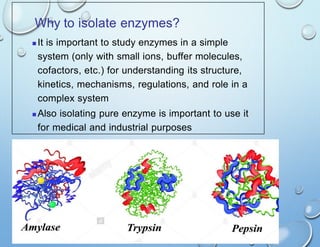 Isolation,Purification and characterisation of Enzymes (1).pdf