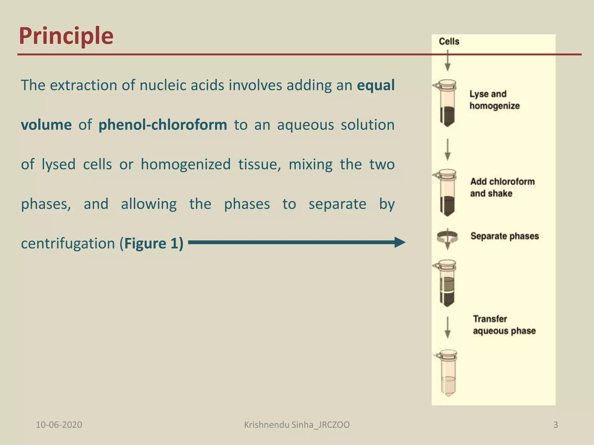 Isolation & purification of DNA from tissue | PPTX