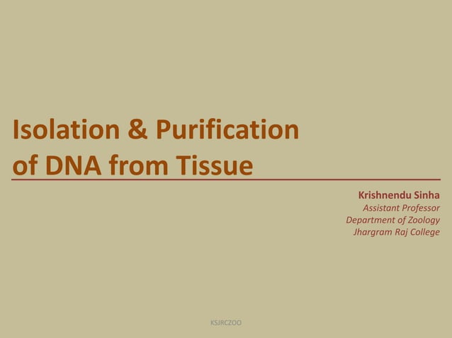 Isolation & purification of DNA from tissue | PPTX