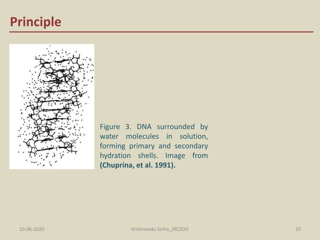 Isolation & purification of DNA from tissue | PPTX