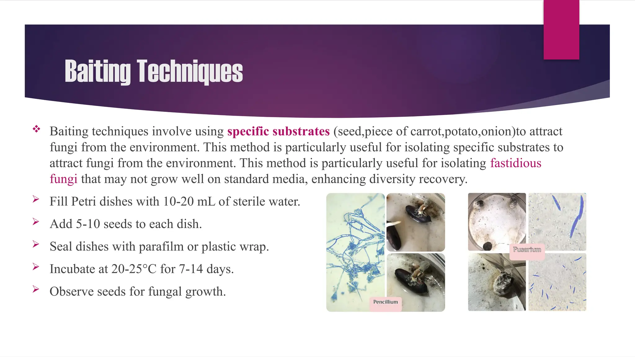 All possible techniques for isolation of bacteria and fungi... | PPTX