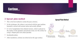 All possible techniques for isolation of bacteria and fungi... | PPTX