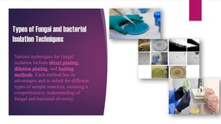 All possible techniques for isolation of bacteria and fungi... | PPTX