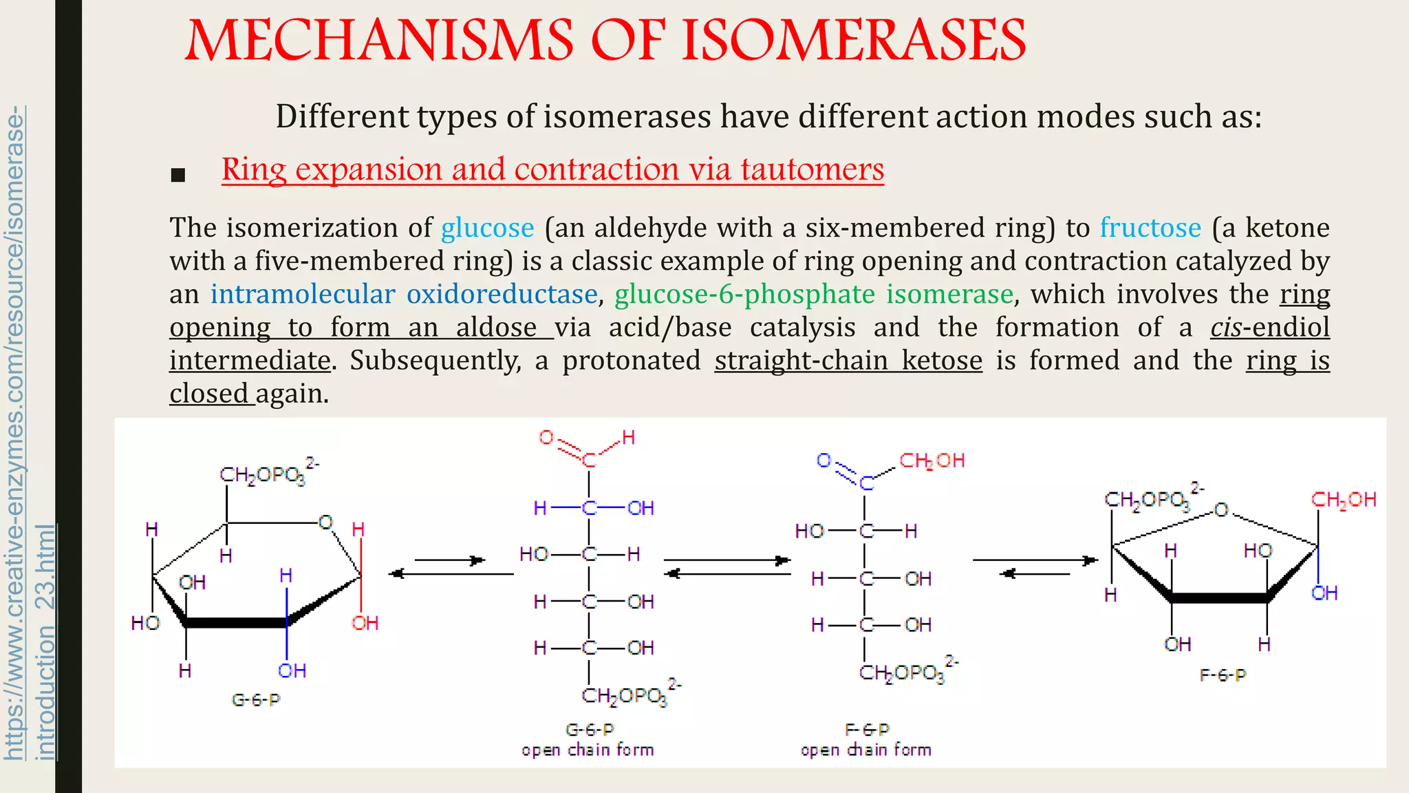 Isomerases | PPTX