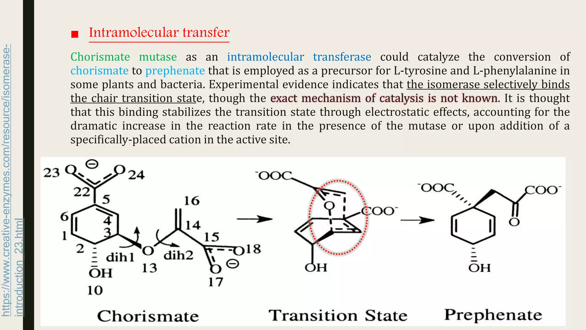 Isomerases | PPTX