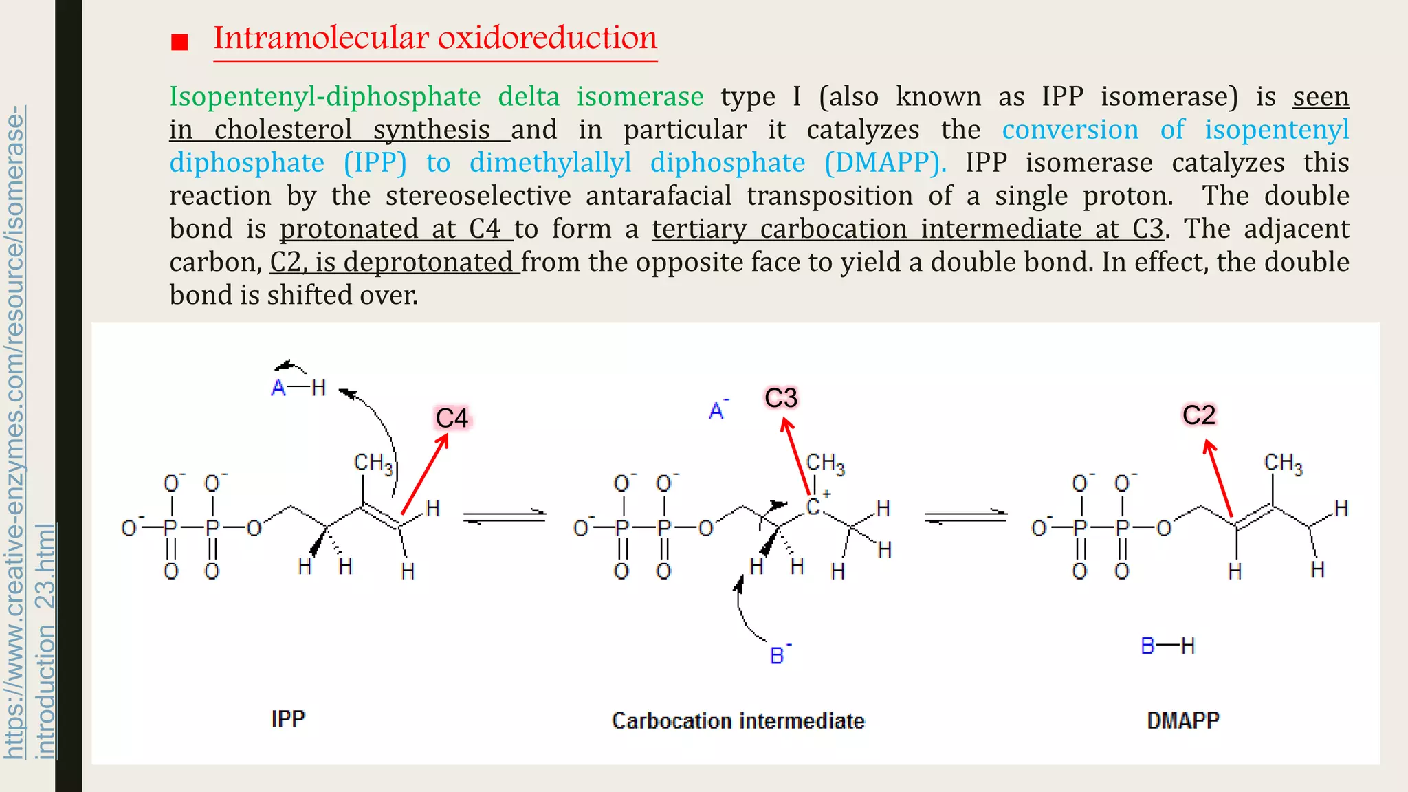 Isomerases | PPTX