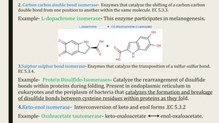 Isomerases | PPTX