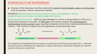 Isomerases | PPTX