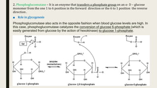 Isomerases | PPTX