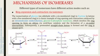 Isomerases | PPTX