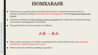 Isomerases | PPTX