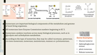 Isomerases | PPTX