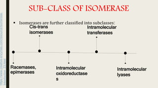 Isomerases | PPTX
