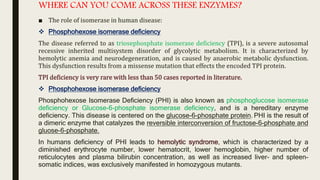 Ribose 5 Phosphate Isomerase Deficiency