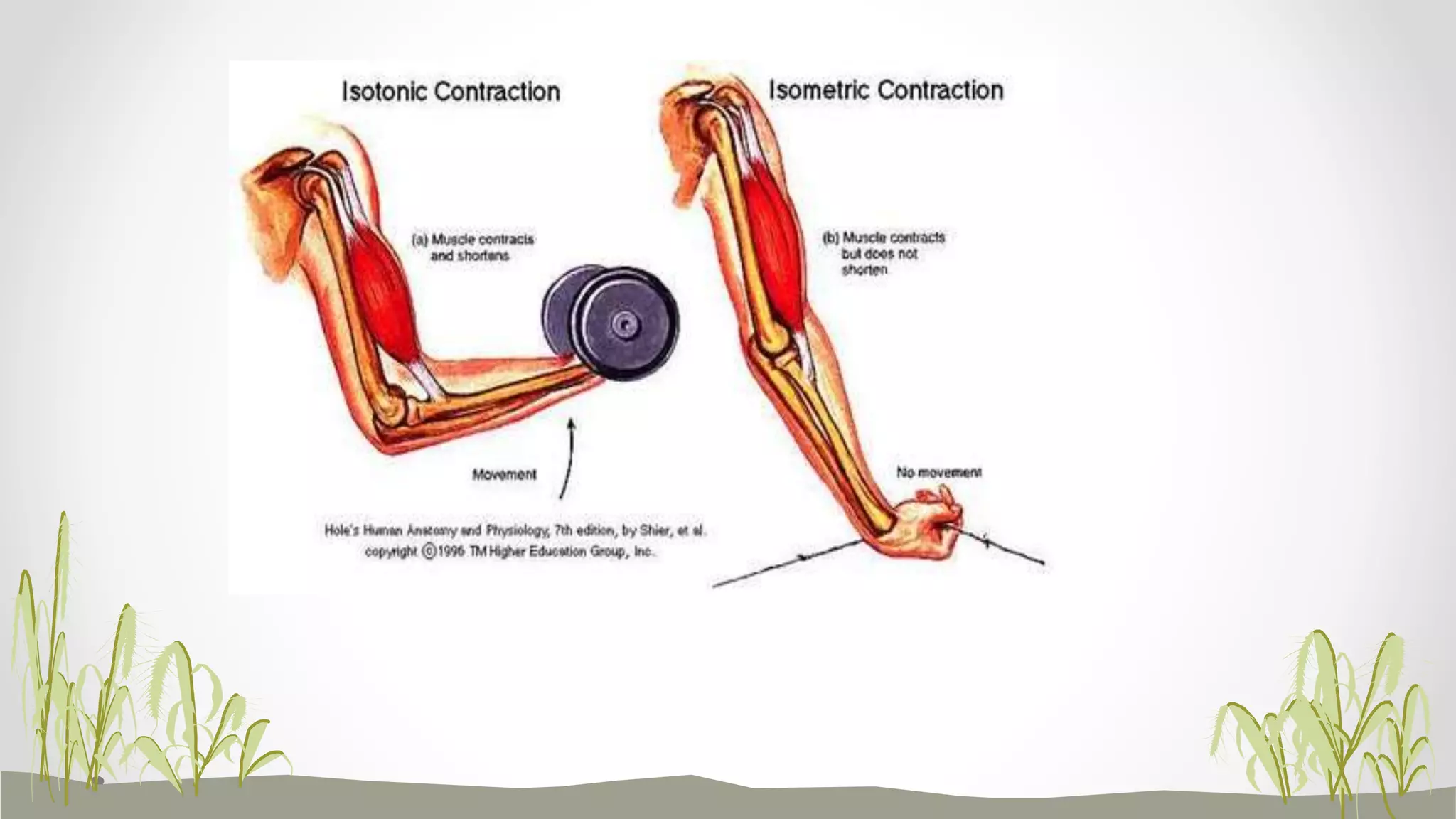 isometricandisotonicexercises-211227095424.pdf