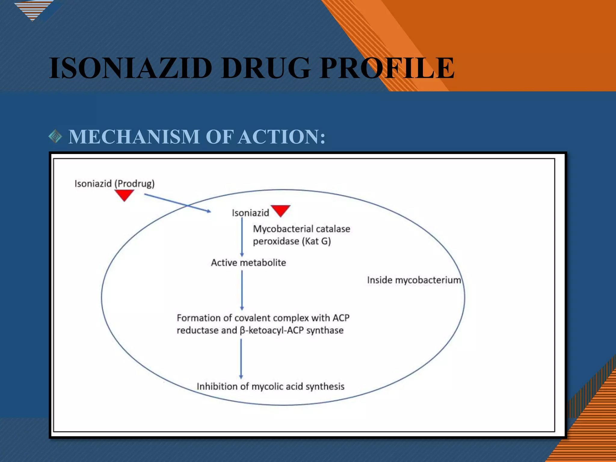 ISONIAZID-DRUG-PROFILE.pptx