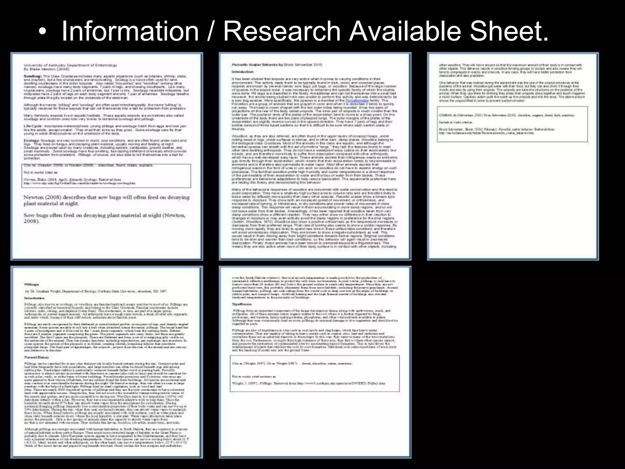 Isopod Lab Lesson PowerPoint, Abiotic Factors, Pill Bug, Sow Bug ...