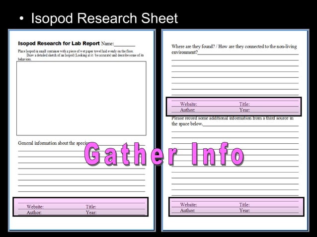 Isopod Lab Lesson PowerPoint, Abiotic Factors, Pill Bug, Sow Bug ...
