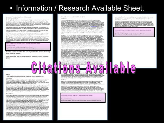 Isopod Lab Lesson PowerPoint, Abiotic Factors, Pill Bug, Sow Bug ...