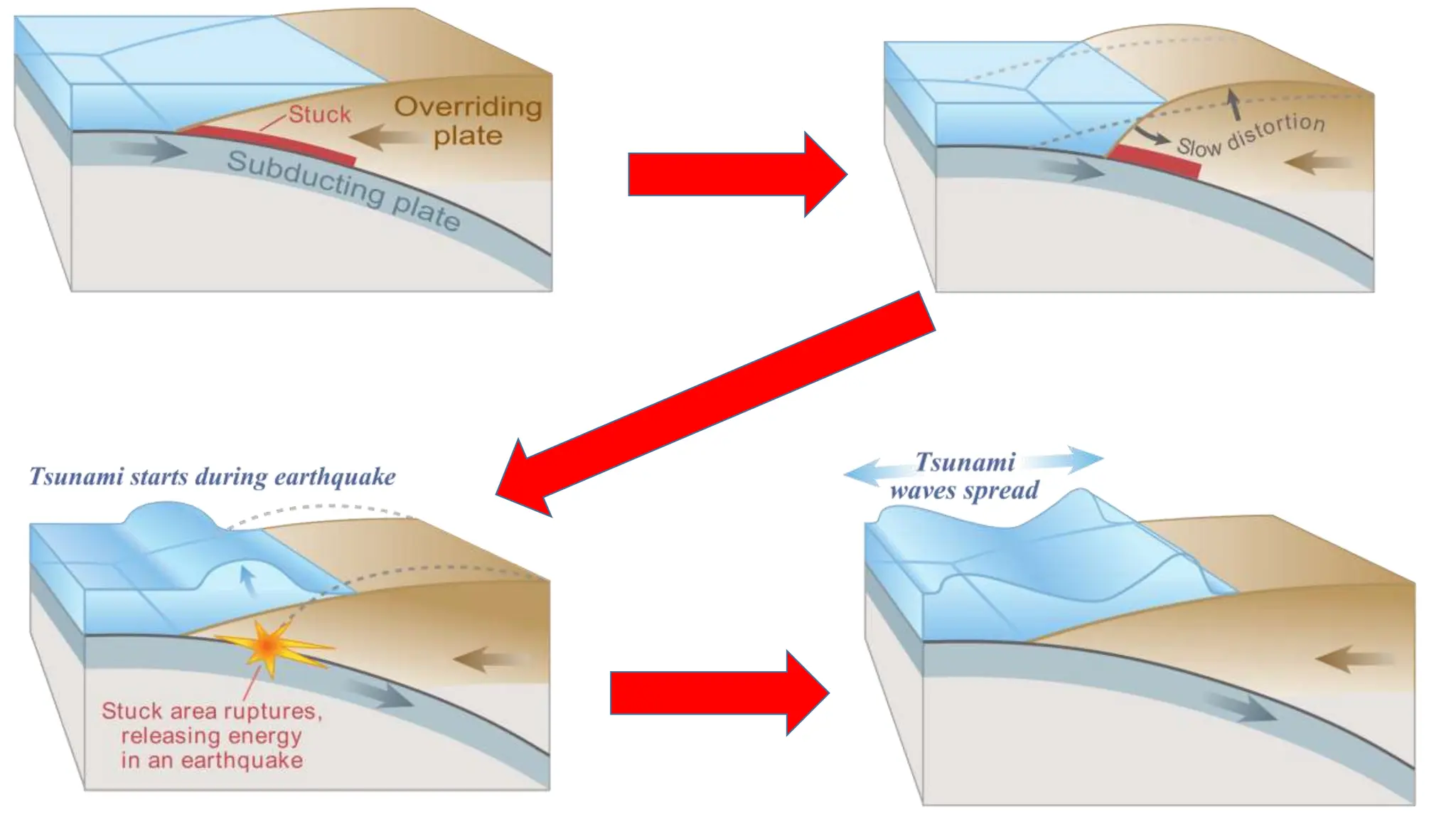 Isoseismal Maps and Concept of Tsunami.pptx