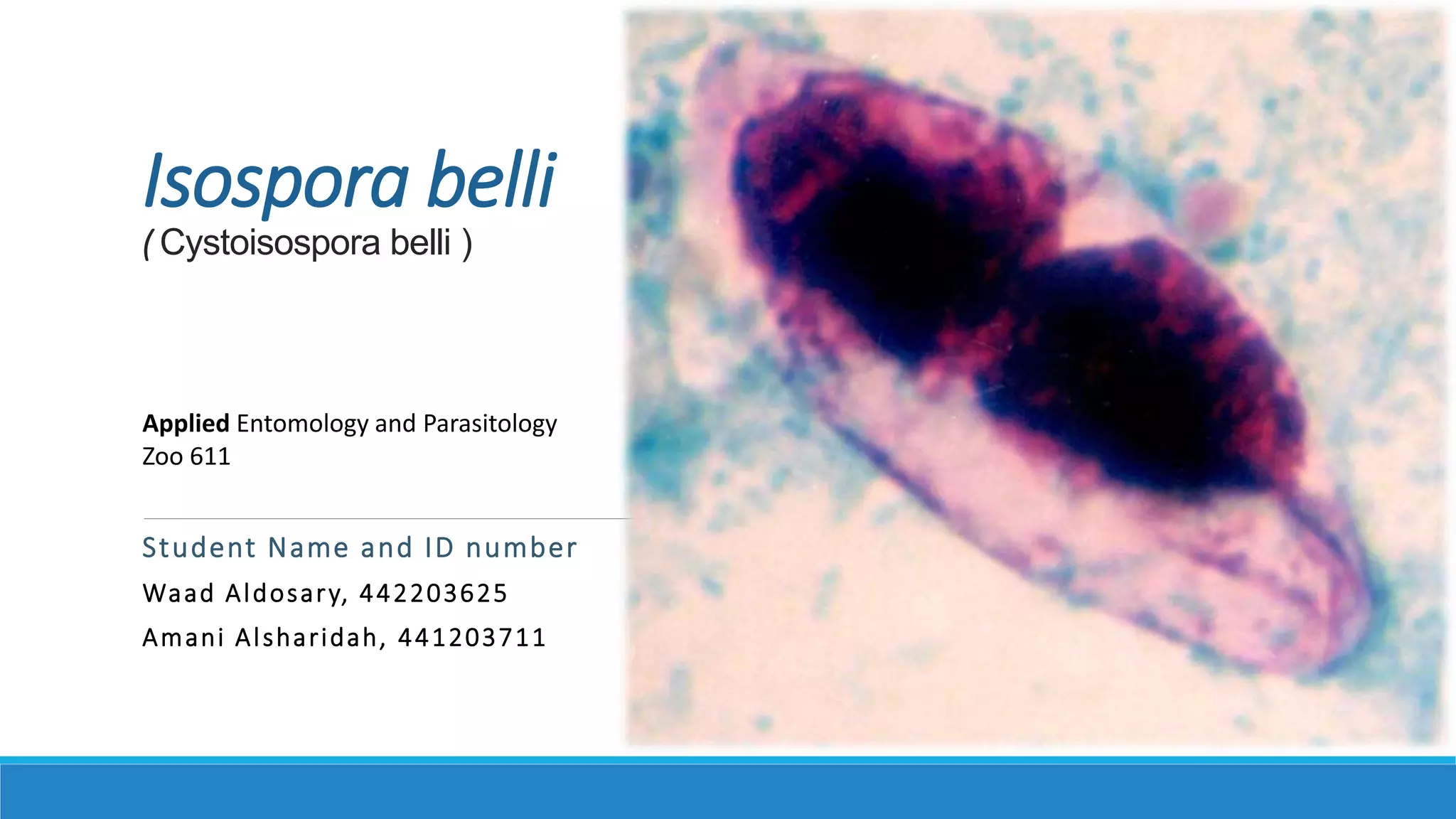 Isosopora belli | PPTX