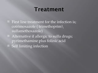 ISOSPORA BELLI.pptx Medical Parasitology.. | PPTX