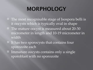 ISOSPORA BELLI.pptx Medical Parasitology.. | PPTX